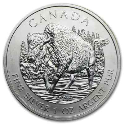 2013 1 oz Silver Canadian $5 Dollar Wood Bison Coin .9999 (Wildlife ...