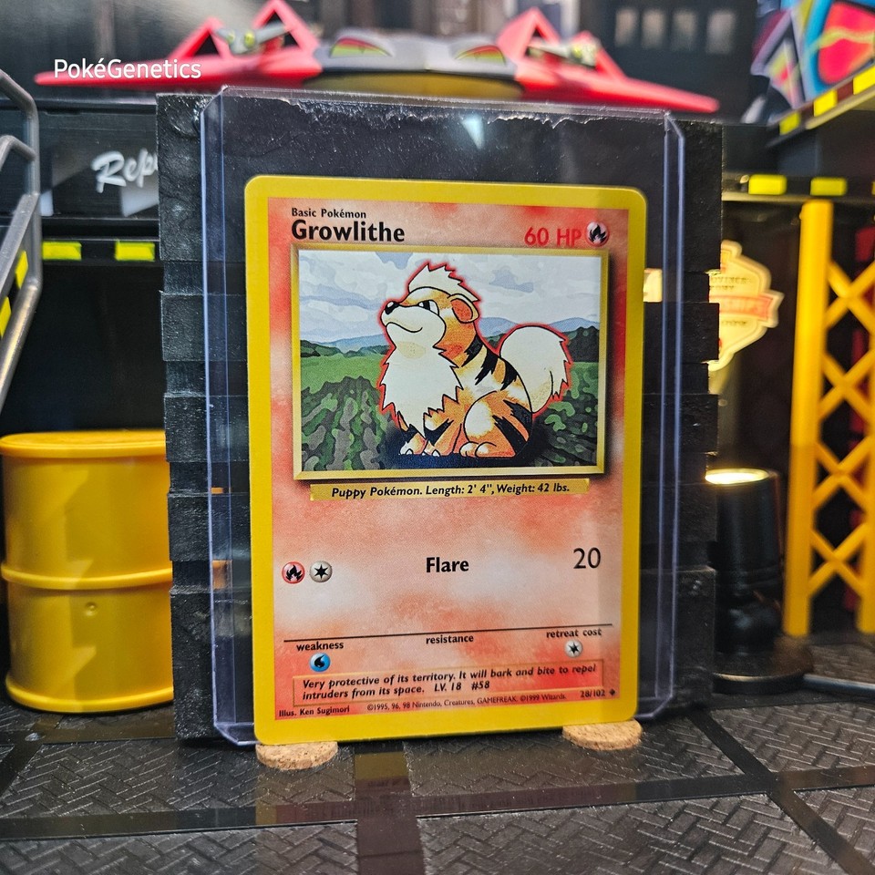 Growlithe Base Set Unlimited Pokémon TCG 28/102 Uncommon | eBay