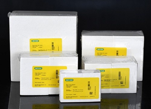 Bio Rad Biorad transfer filter paper 1703932 1703965 1703966 1703967 ...