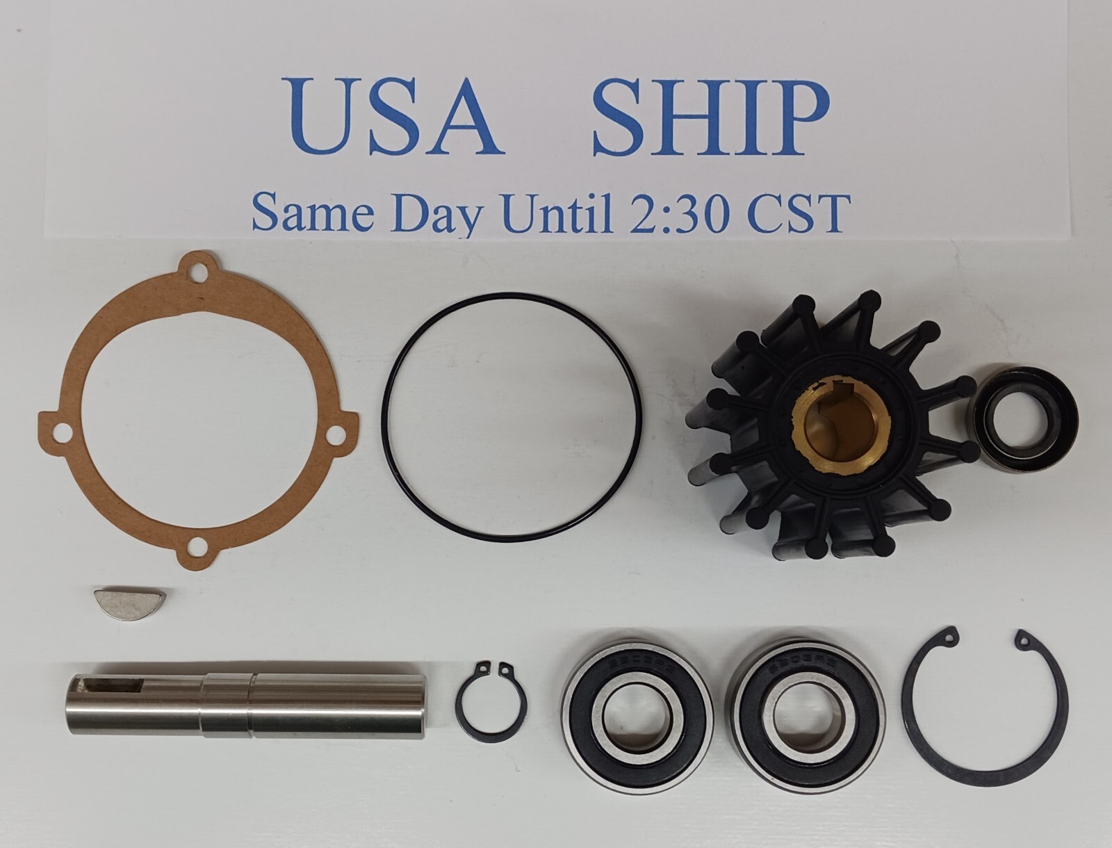 Major Repair Kit 19354 Impeller 10615K Fits Sherwood Pump P102 P105 ...