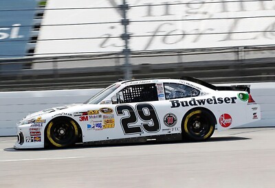 Kevin Harvick #29 2012 Budweiser White NASCAR 13x19 Poster Gloss Photo ...