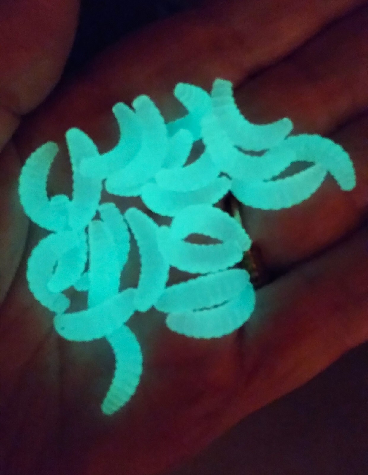 200 GLOW DARK 3/4" crappie panfish grub maggot jigs soft silicone wax ...