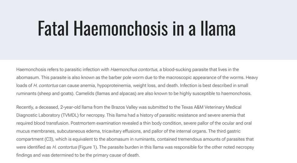 Alpaca, Vicuña, Llama CAMELS Anti-parasites & Worms - DEWORMER - Made ...