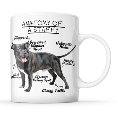 Anatomy Of A Staffy - Cute Staffordshire Bull Terrier Dog Mug | eBay UK