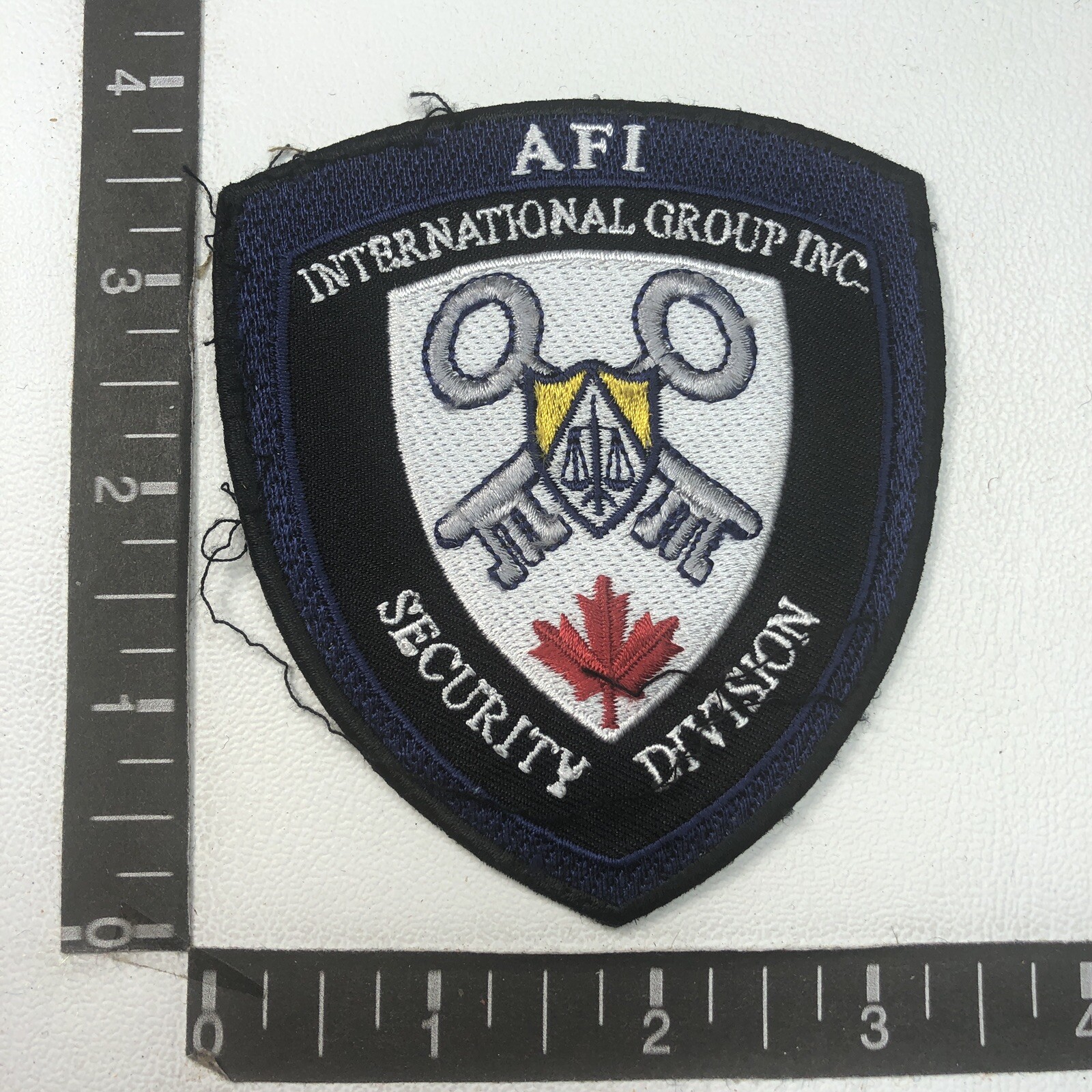 AFI INTERNATIONAL GROUP Security Division Patch Skeleton Key Scales ...