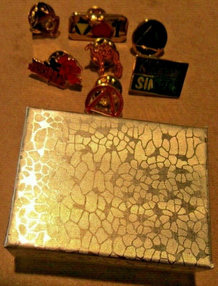 Alcoholics Anonymous AA Symbols Lapel Hat Vest Pin Recovery Sobriety ...