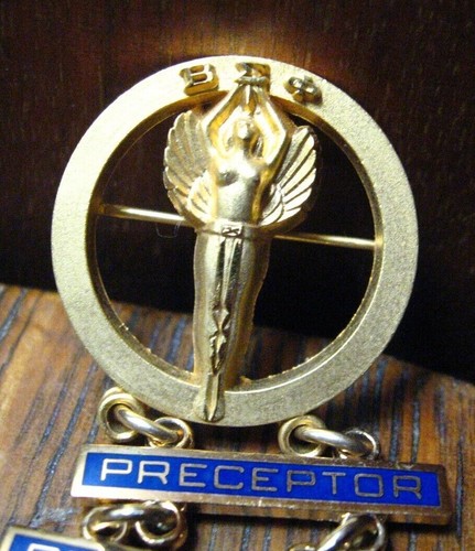 ΒΣΦ Beta Sigma Phi Vintage Lapel Pin - Sorority Officer Member ...