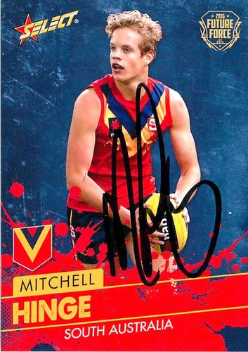 Signed 2016 BRISBANE LIONS AFL Card MITCHELL HINGE Future Force | eBay