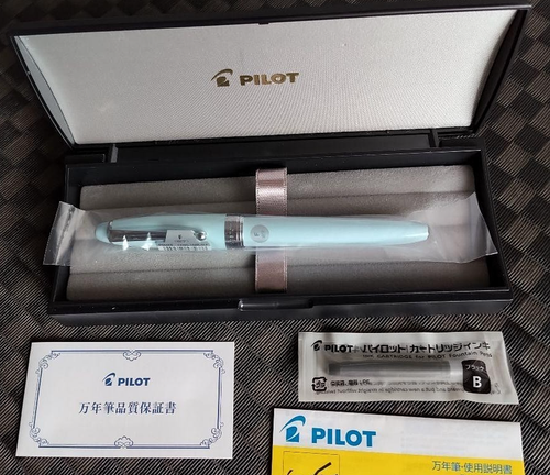 Pilot Custom NS Soft Blue Fountain Pen Nib F FKNS 1MR SLF | eBay