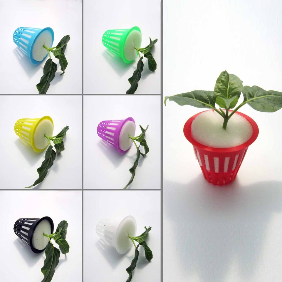 10X Mesh Pot Net Basket Clone Cloning Collar Foam Insert Hydroponic ...