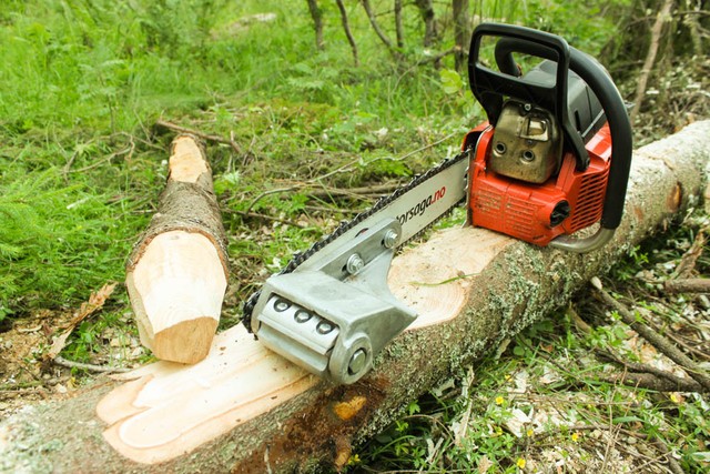 Debarker PRO - Tool for debarking - Toothless adjusted chain included ...