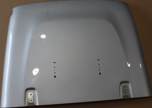 JL Wrangler Gladiator JEEP Hood 68281949AE Paint Silver OEM Factory | eBay