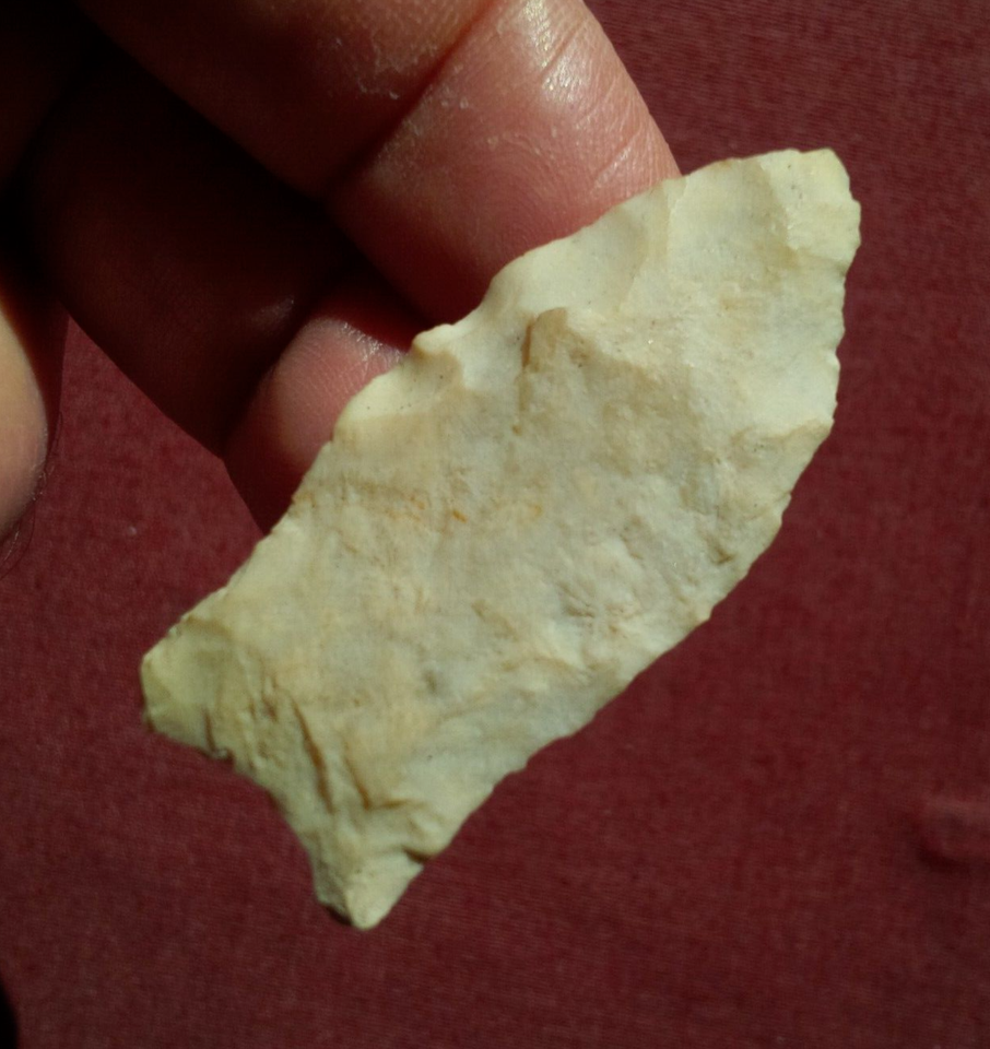 2" PALEO SIMPSON FLORIDA ARROWHEAD Authentic Indian Artifact AUTHENTIC ...