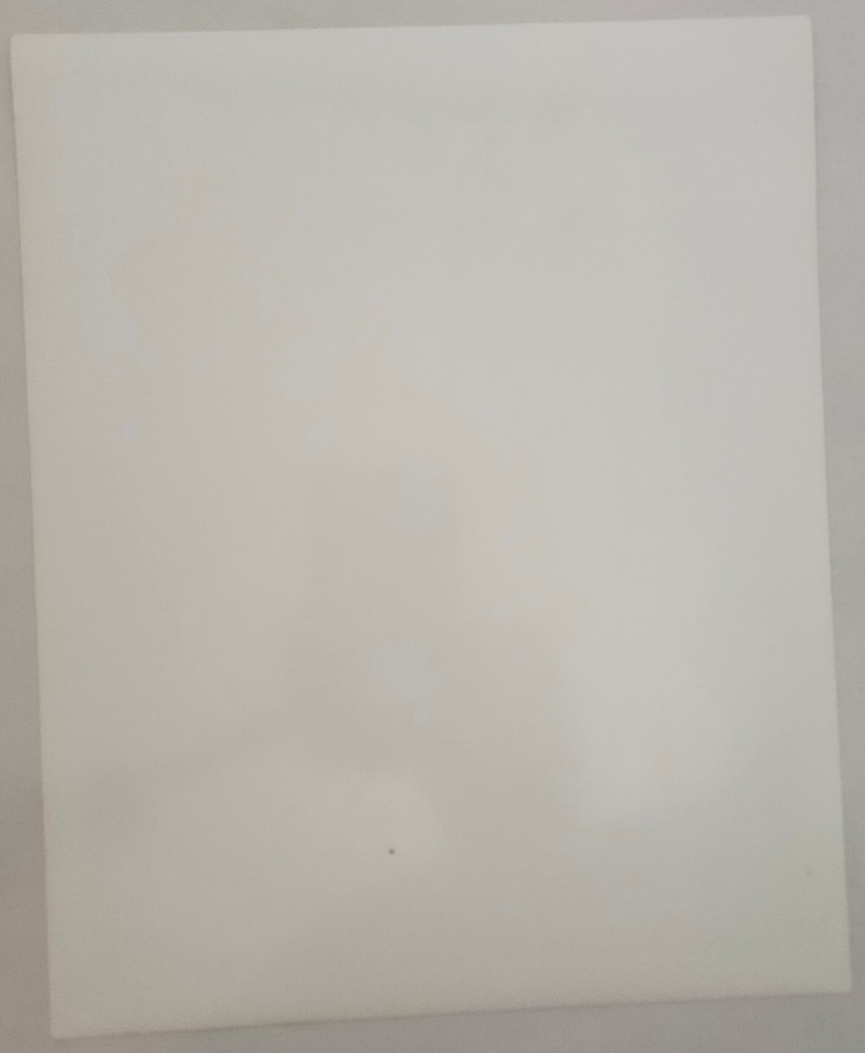 Bunny Yeager Estate Vintage Original Pinup Photograph of Uschi Digard ...