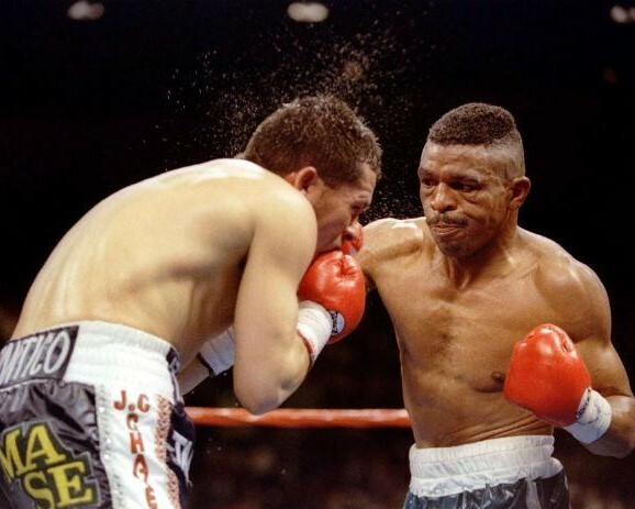 FRANKIE RANDALL vs JULIO CESAR CHAVEZ 8X10 PHOTO BOXING PICTURE THE ...