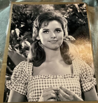 Gilligan's Island Cast 8x10 Glossy Photo Dawn Wells as Mary Anne | eBay