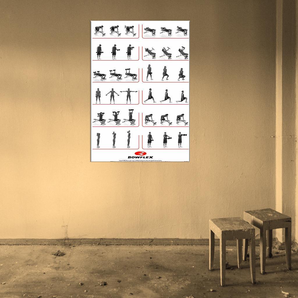 Bowflex Dumbbell Workout Poster | EOUA Blog