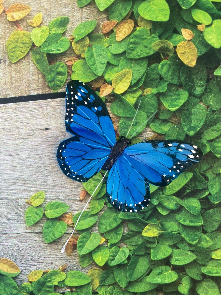 Blue Monarch Butterfly