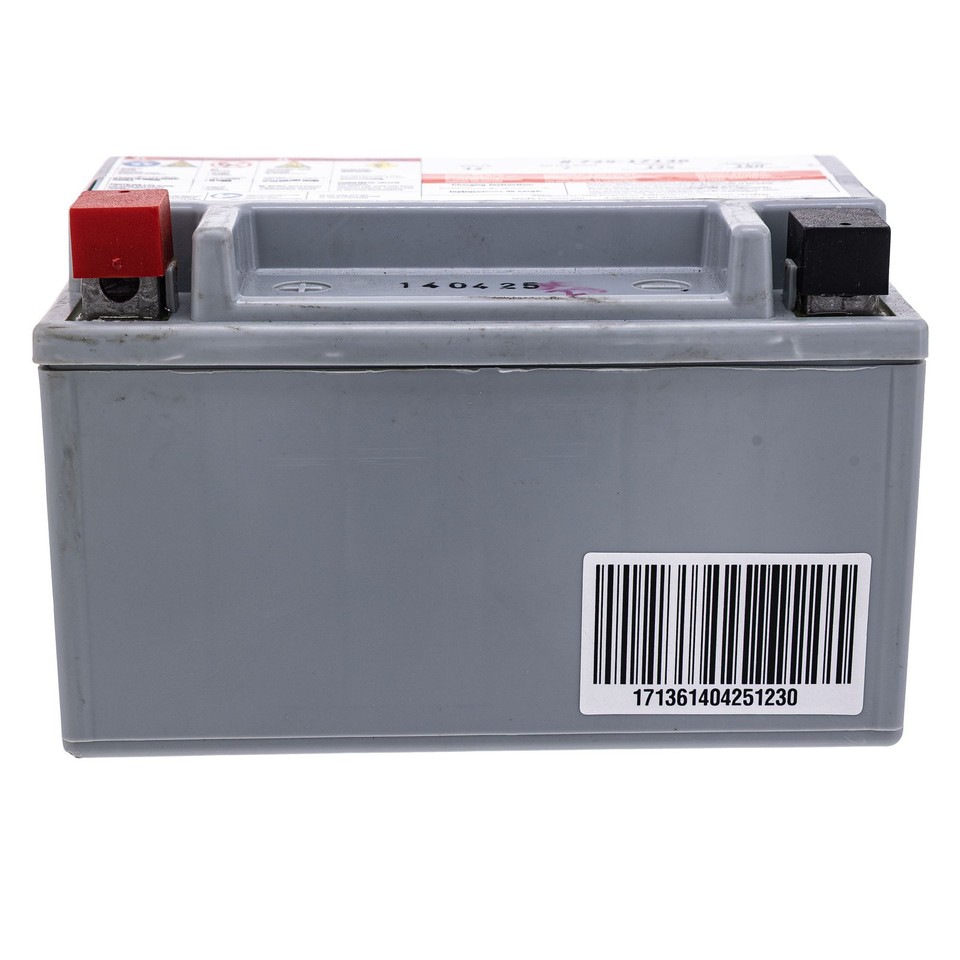 CUB CADET 725P17136 Battery AGM 7AHR CC 30 H Hydro Mini Rider | eBay