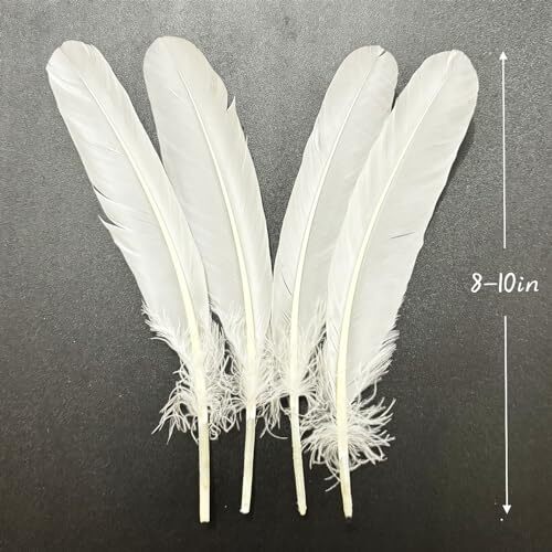 White Feathers,Natural Big Long Goose Feather,8-10 inch (21-25cm),Large ...