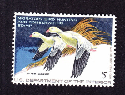 US RW44 $5 Duck Hunting Stamp Mint VF OG NH SCV $12.50 | eBay