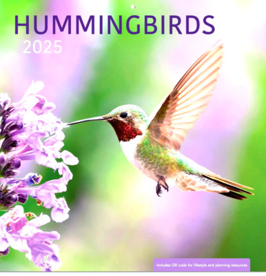 Hummingbirds 2025 Wall Calendar Includes 2024 & 2026 4-Month calendar ...