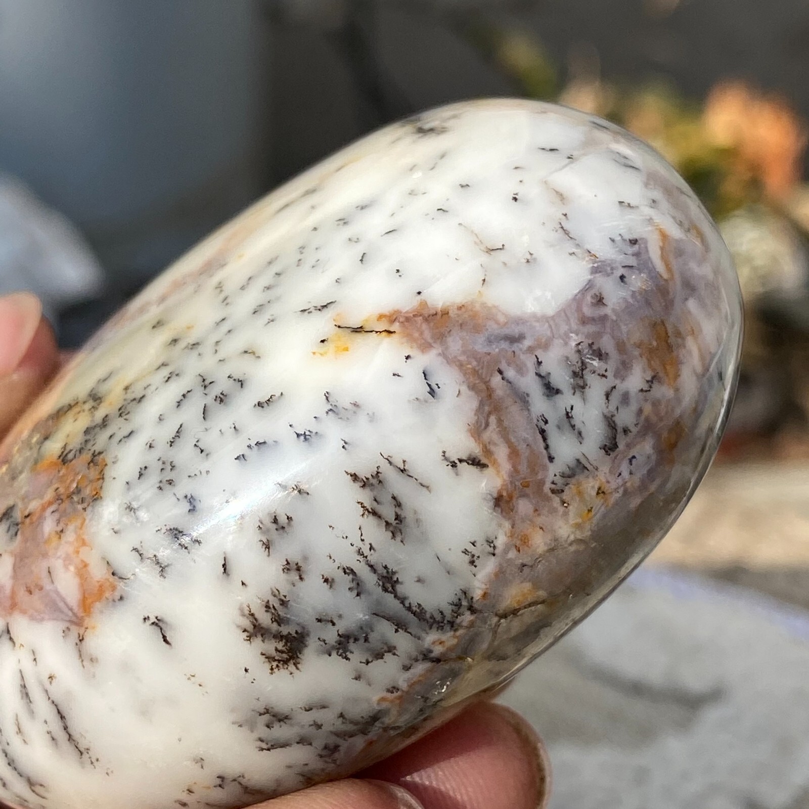 130g Dendritic Natural Dendrite Opal Agate Quartz Crystal Palm Stone ...