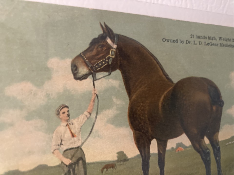 1907-15 Dr. LeGears Stock Remedies Medicine Co. Horse "Dr.LeGear" facts ...
