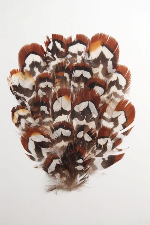 PHEASANT Feather PADS Many Types & Colors (Headband/Hats/Halloween ...