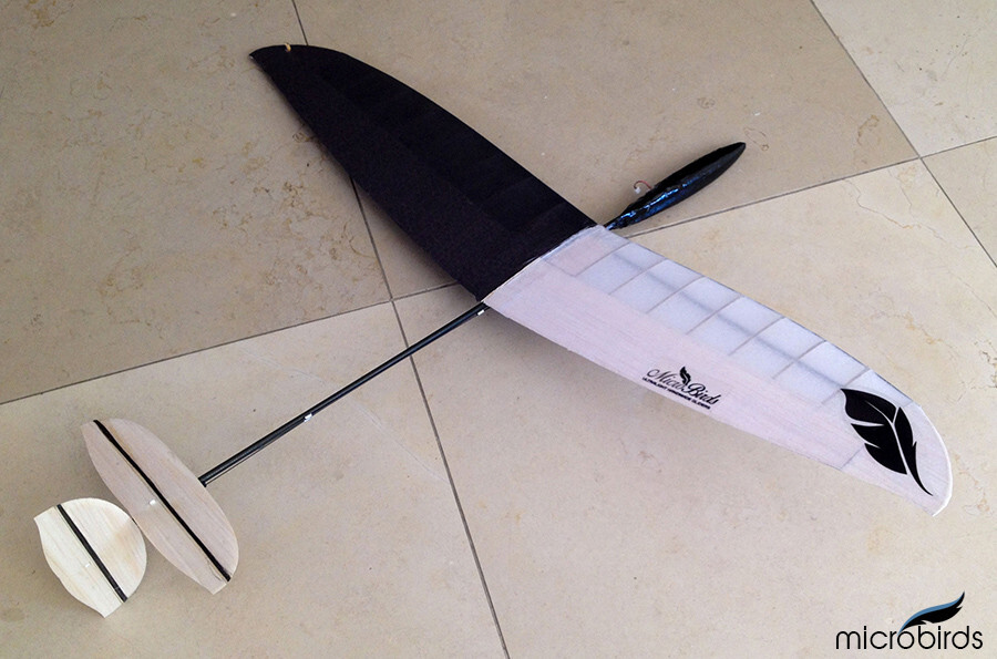 Feather DLG RC Glider Kit Ultralight Discsu launch Glider MicroBirds ...
