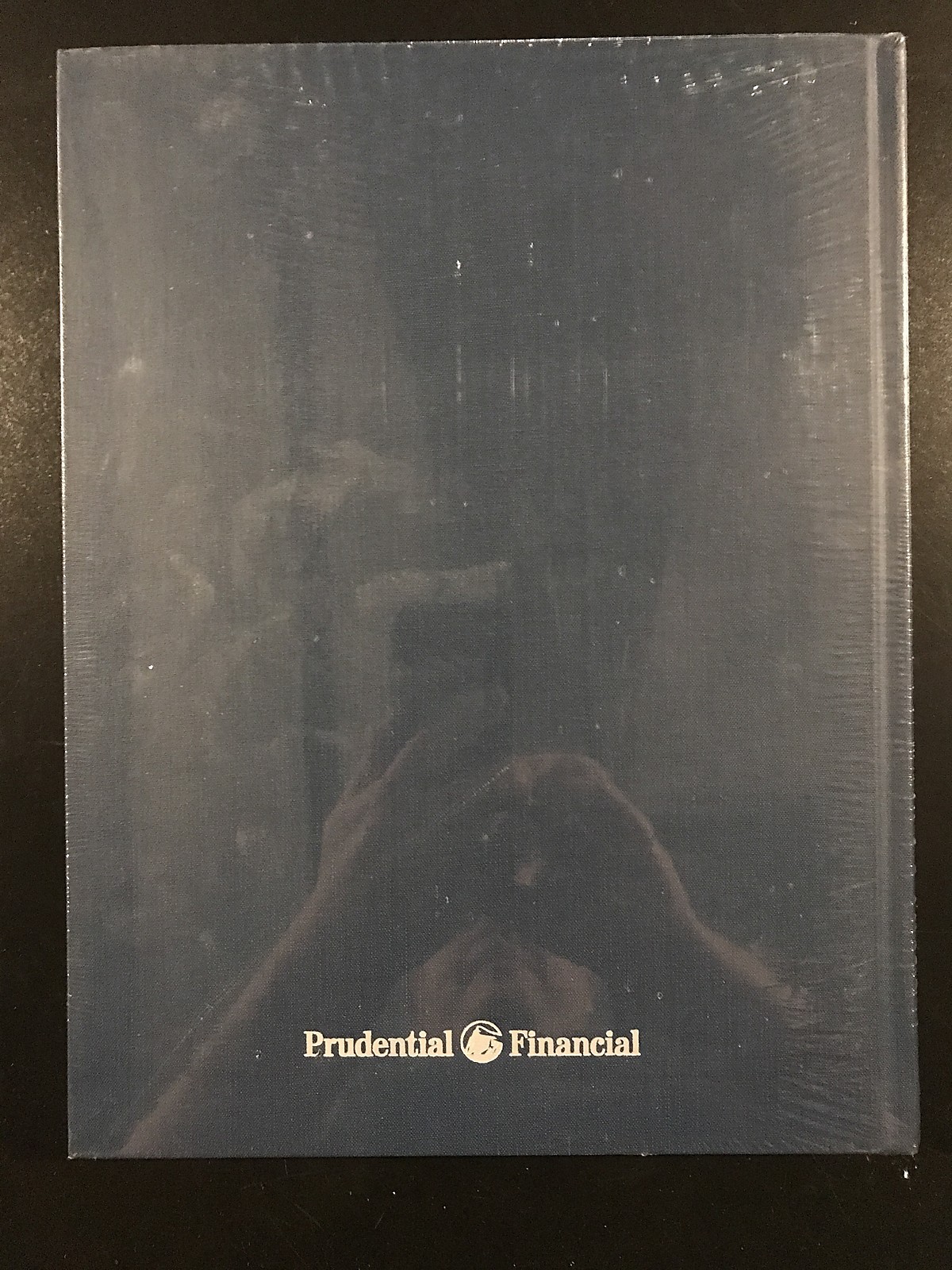 The Power of a Story: Voices of Prudential and Its People Arthur Ryan ...