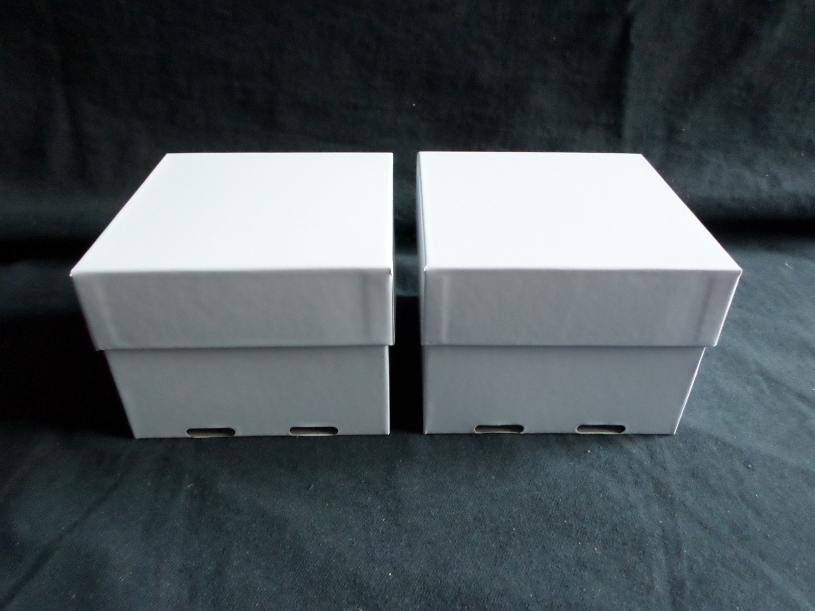 (2) VWR CryoPro 4" Cryogenic Freezer Boxes w/ Drain Slots, No Grid ...