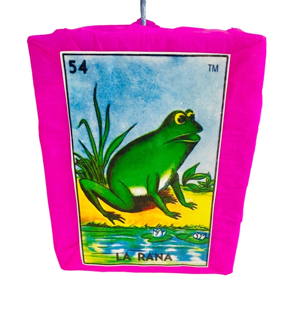 Fiesta De Piñata Mexicana Suministros Para Fiestas De Temática