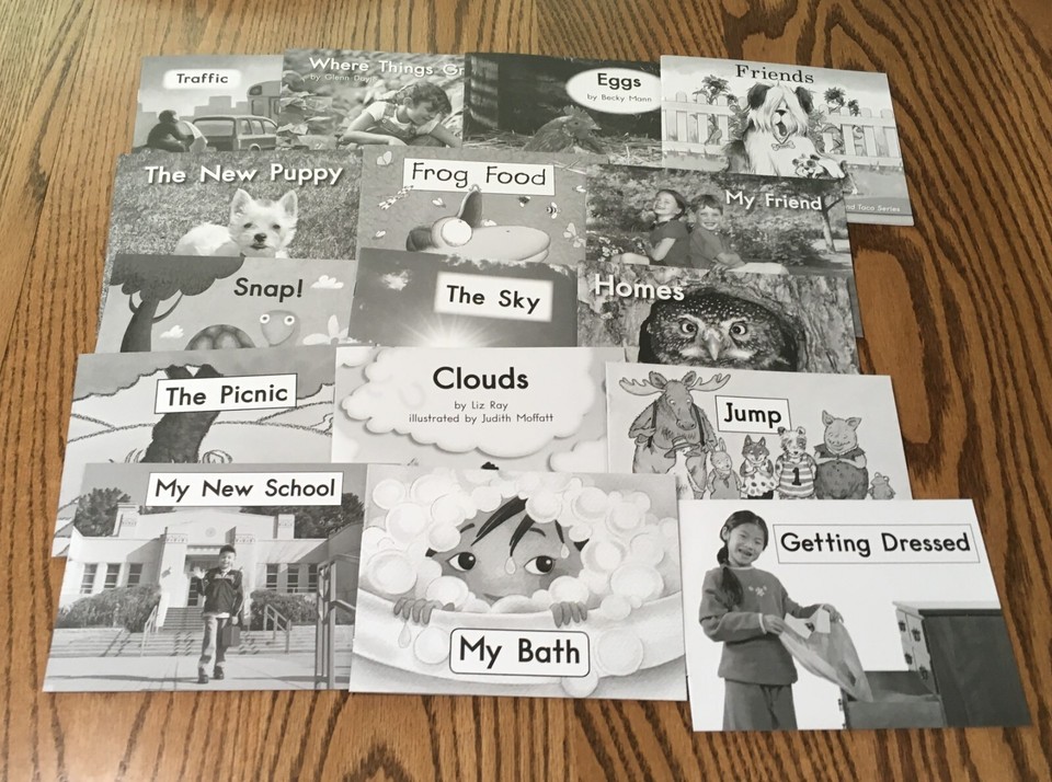 LOT OF 129 FOUNTAS & PINNELL LLI TAKE HOME BOOKS / GREEN SYSTEM / FIRST ...