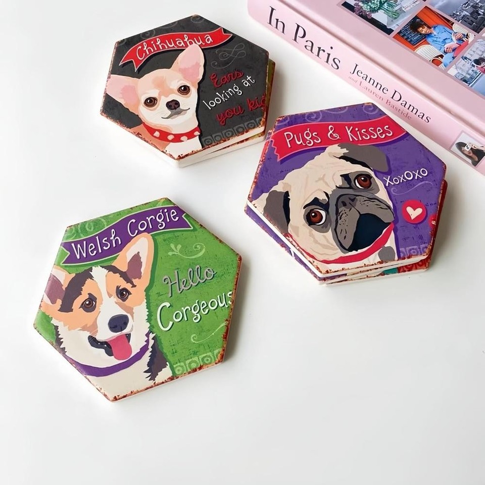 Drink Coasters Set of 6 with Holder,Cute Dog Absorbent Ceramic Coasters ...
