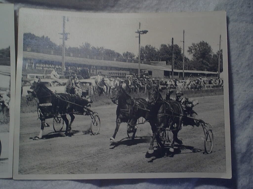 2-EARLY 1960s MATTI FORBES HARNESS RACING HORSE 10 x 8 PHOTO,Trotter ...