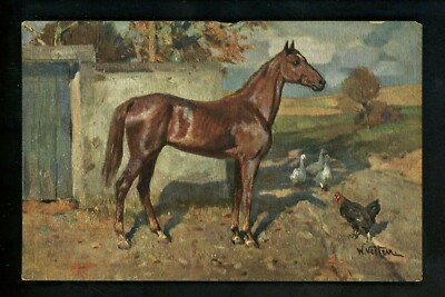 Horse postcard Artist Signed W. Velten Series 75 Ernest Nister Vintage ...