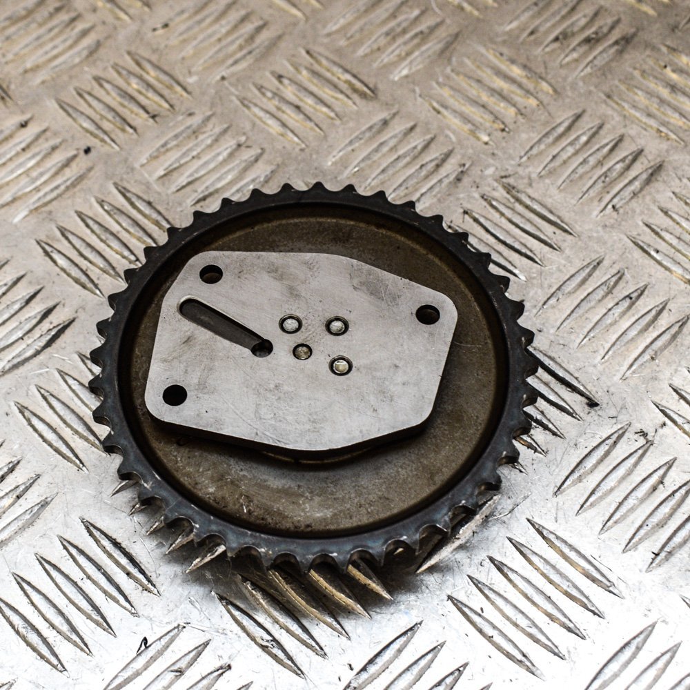 Pignone 06E109289 06E109077E ingranaggio della catena distribuzione ...