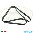 LAND ROVER ALTERNATOR BELT W/O ACE DISCOVERY 2 99-04 ERR6898 DAYCO | eBay