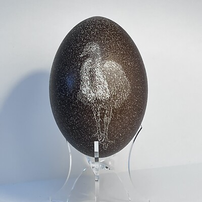 EMU Egg Shell With Emu Painted On Blown Out With Stand Brown Speckled ...