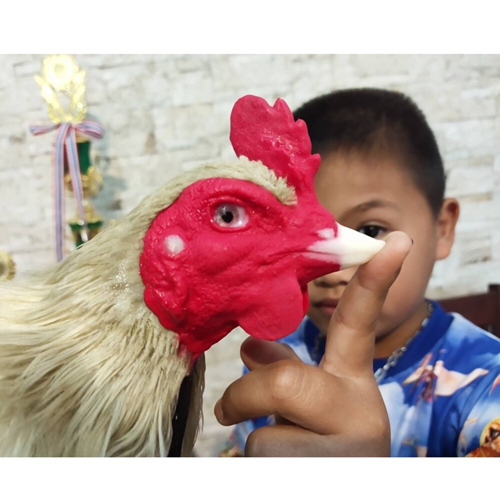 Chicken Doll Rooster Cock Realistic Silicone Training Equipment Hanging ...