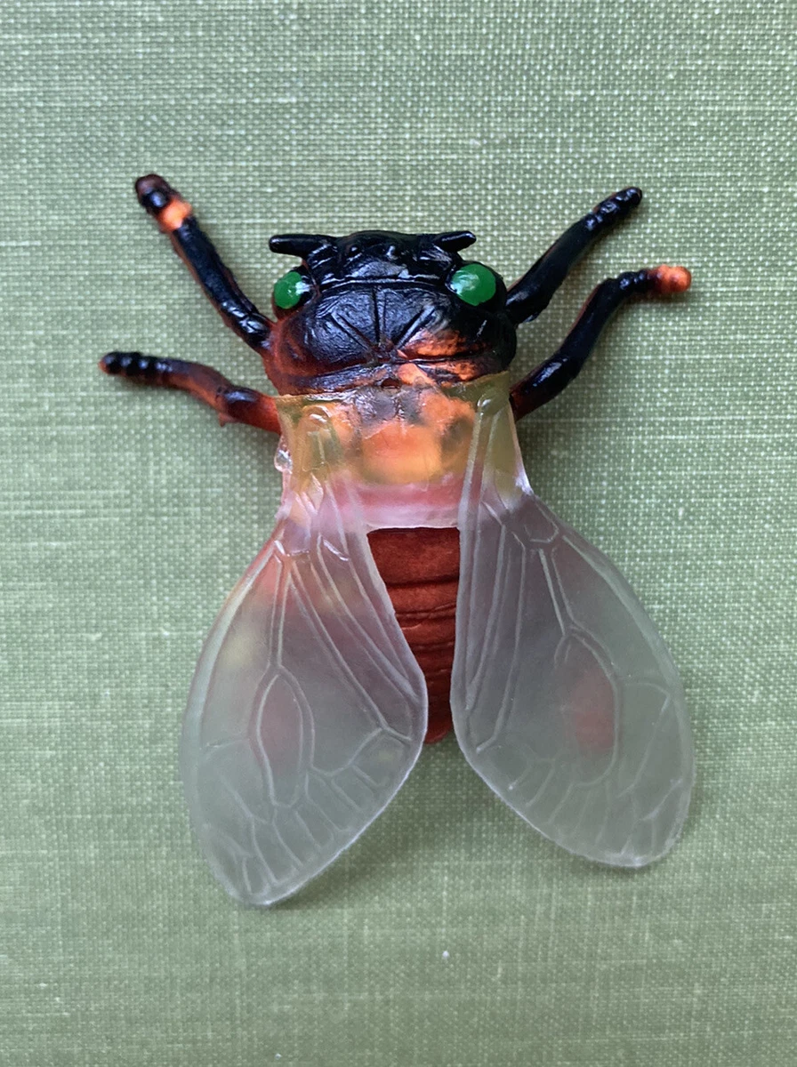 Description Of Cicada