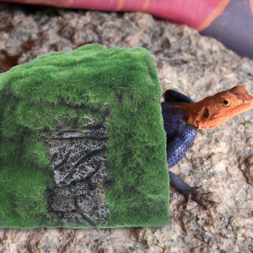 Turtle Hides House Lizard Hiding Reptile Cave Decor Hideaway Caves | eBay