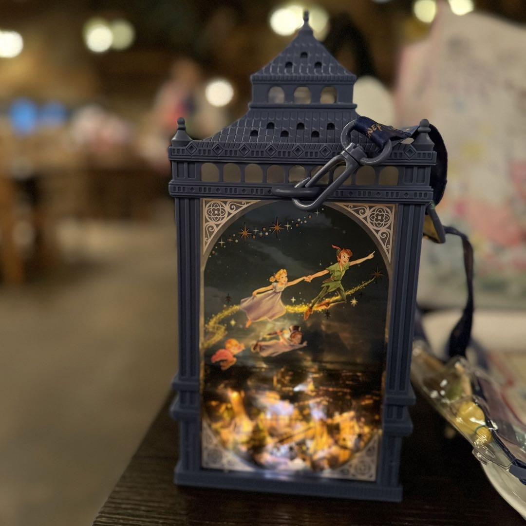 [NEW] Tokyo Disney Resort Peter Pan Fantasy Springs Popcorn Bucket ...