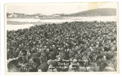 RPPC Fry Bros Turkey Ranch Diner WILLIAMSPORT PA Lycoming Real Photo ...