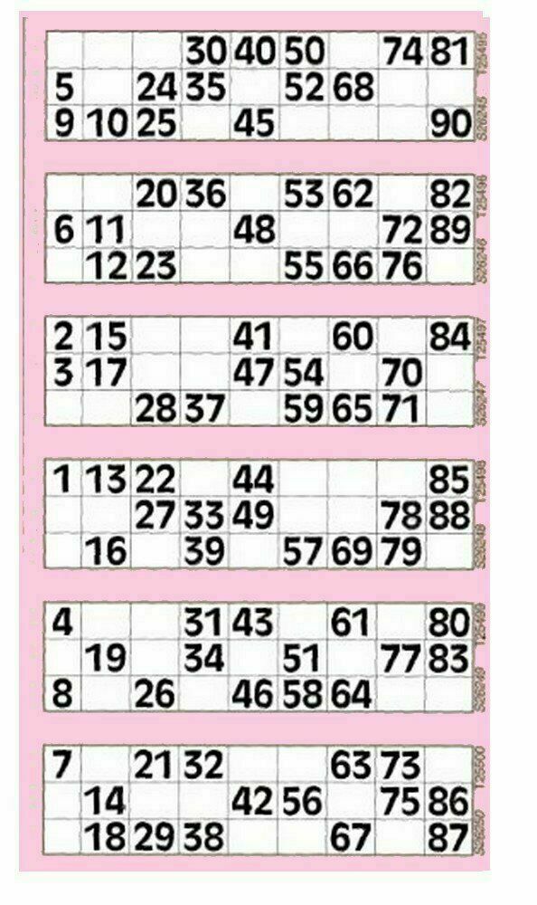 [Set of 15] 6 to View Padded Bingo Ticket Book 21 x 12cm 600 Tickets ...