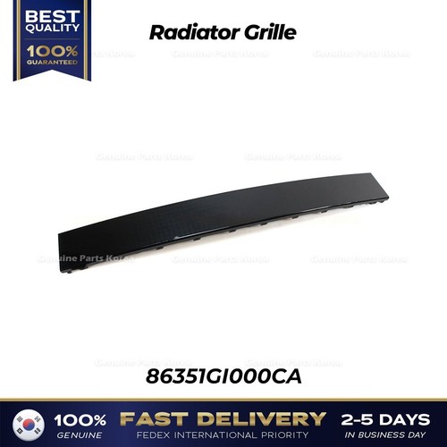 ⭐Genuine⭐ Radiator Grille 86351GI000CA for Hyundai Ioniq 5 | eBay