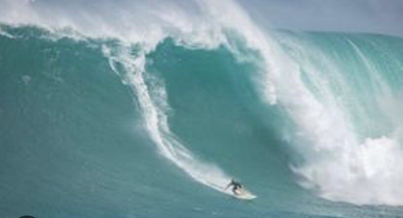 Body Glove STICKER Surf Sticker 2024 Mayhem Lost Rvca Channel Islands ...