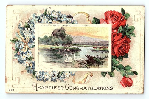 Swans Swimming Lake Country Side Flowers Congratulations Card Vintage ...