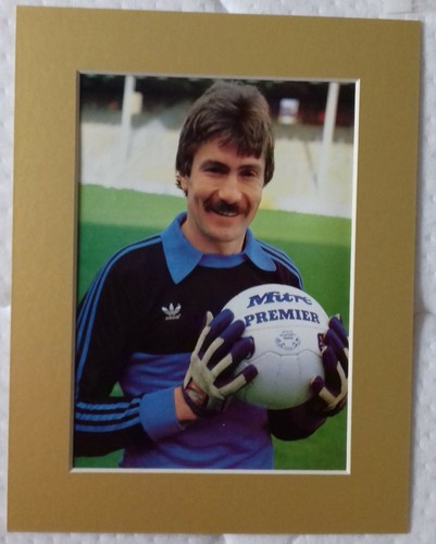Hamish McAlpine Dundee United pictured at Tannadice - mounted ...